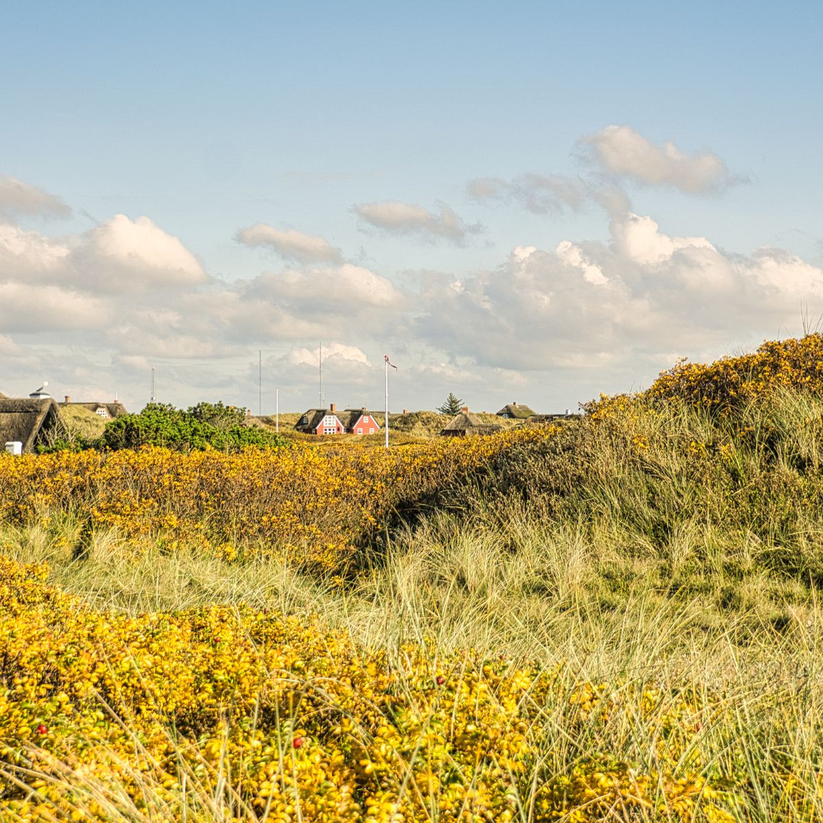 Udlej dit sommerhus i Blåvand - Få op til 3 tilbud - Compato